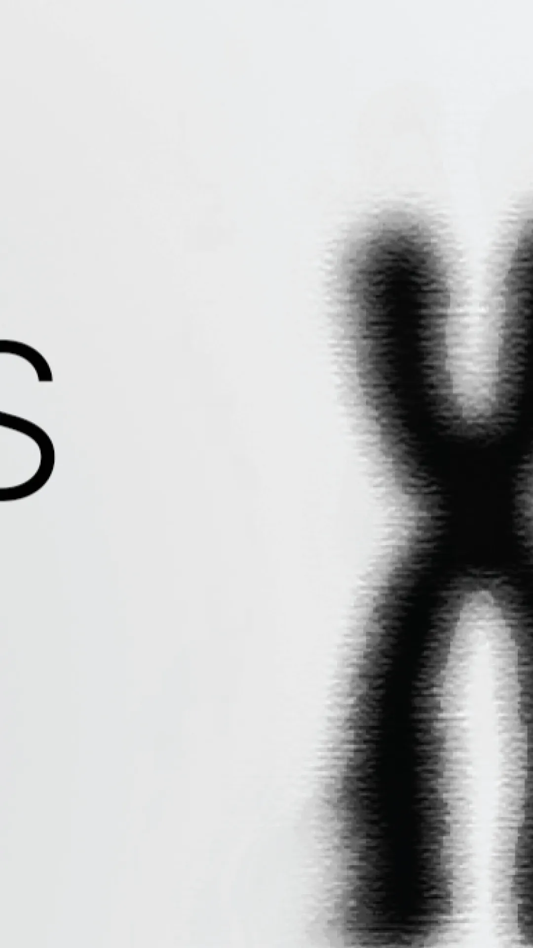PREMJERA! NOJAUS ARKA - Klaipėdos dramos teatras